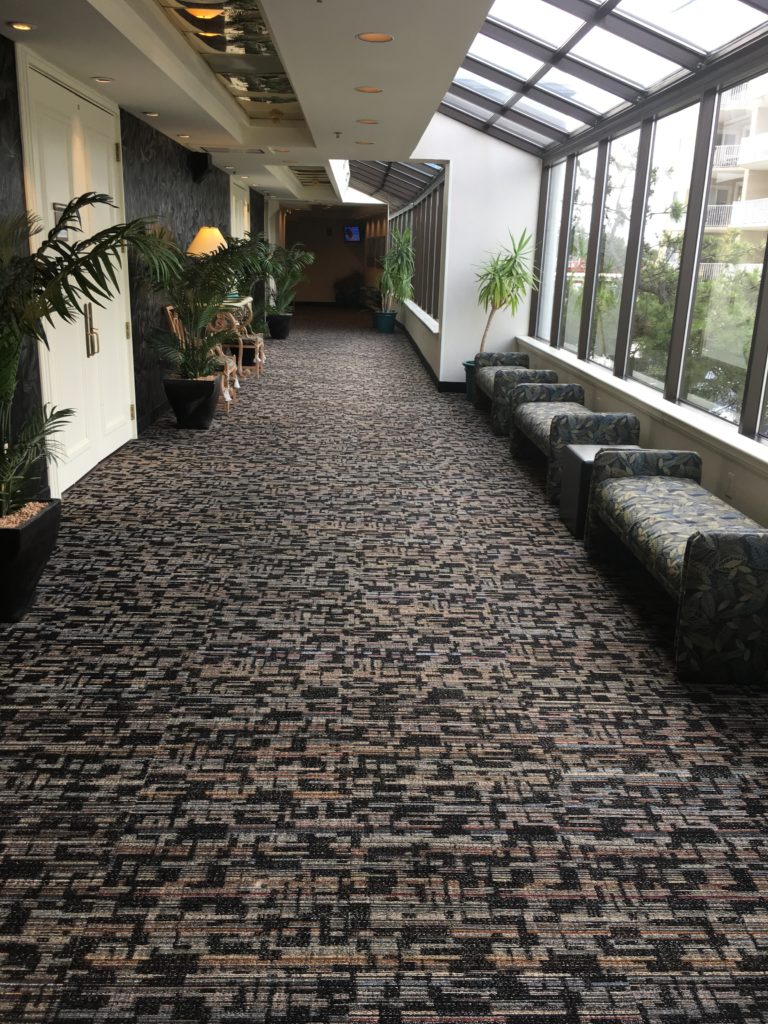 Commercial Carpet Maintenance- Eco Interior maintenance